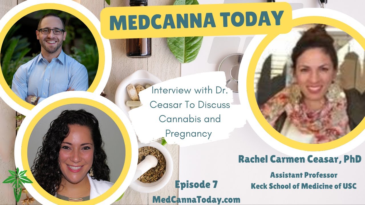 C13 Plug vs. C14 Power Cord: 5 Crucial Distinctions